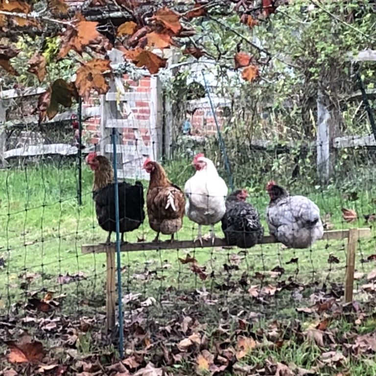 Titty Hill Farm | Luxury Accommodation | West Sussex